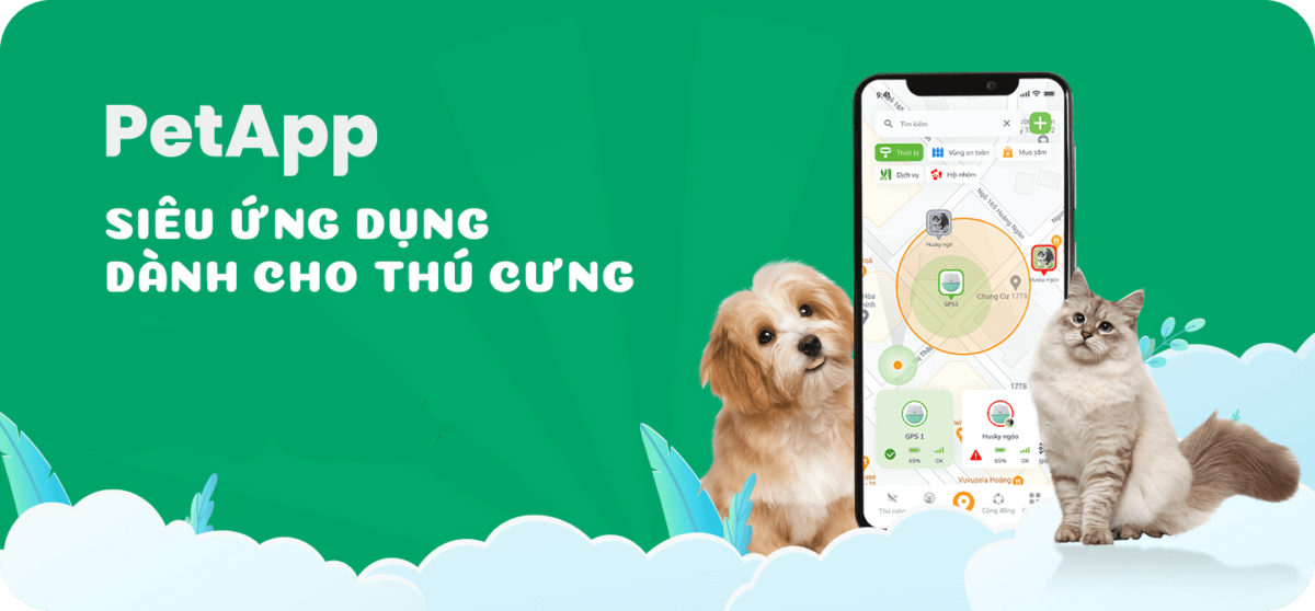 PetApp - PetApp